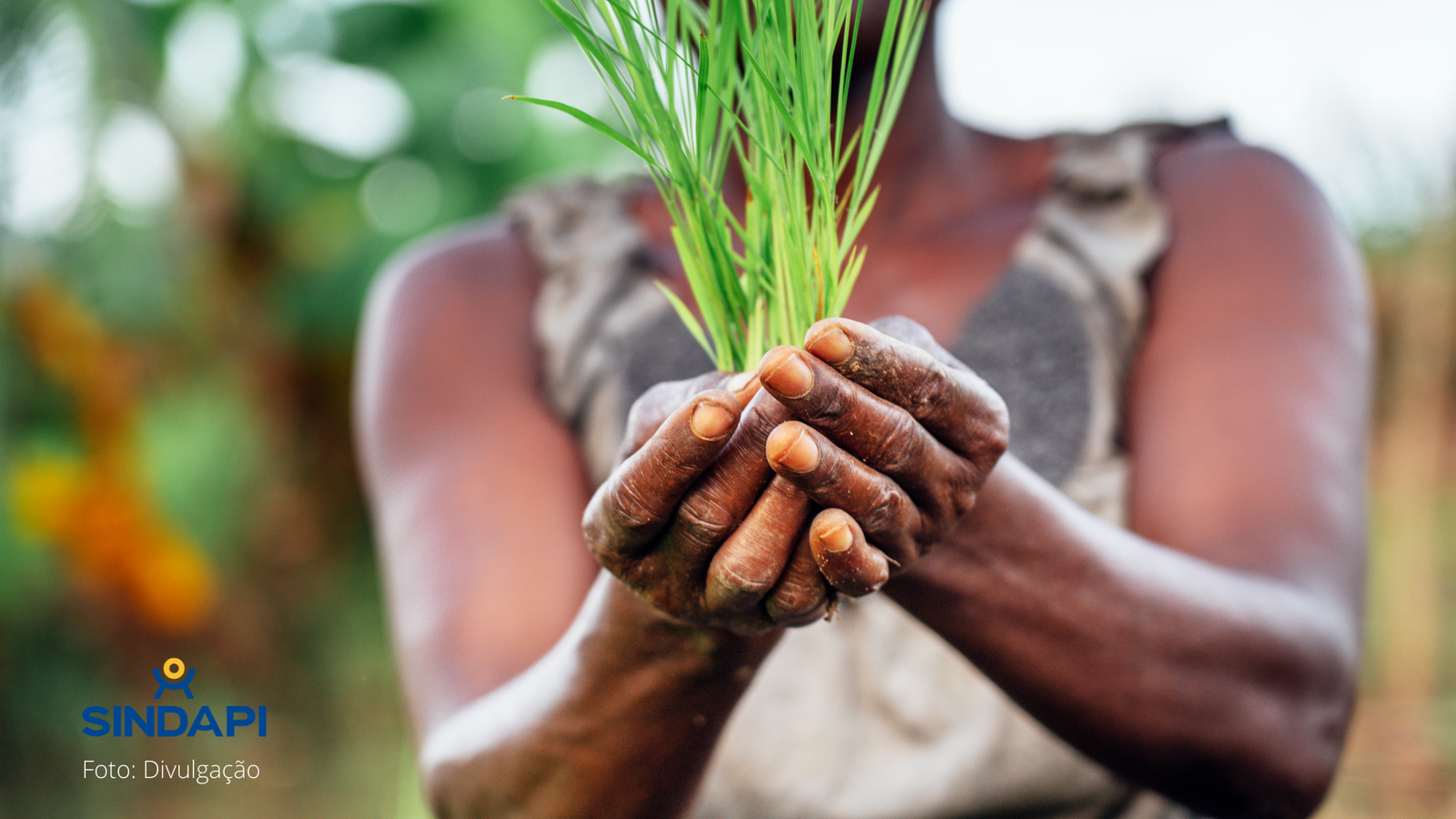 Sindapi orienta mulher do campo sobre aposentadoria rural - Sindapi MT